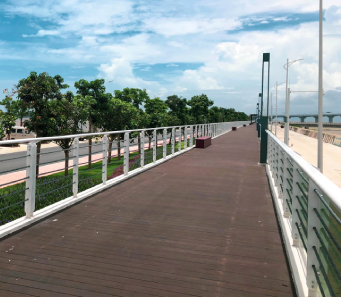 Zhuhai–Macau Bridge - dasso Bamboo